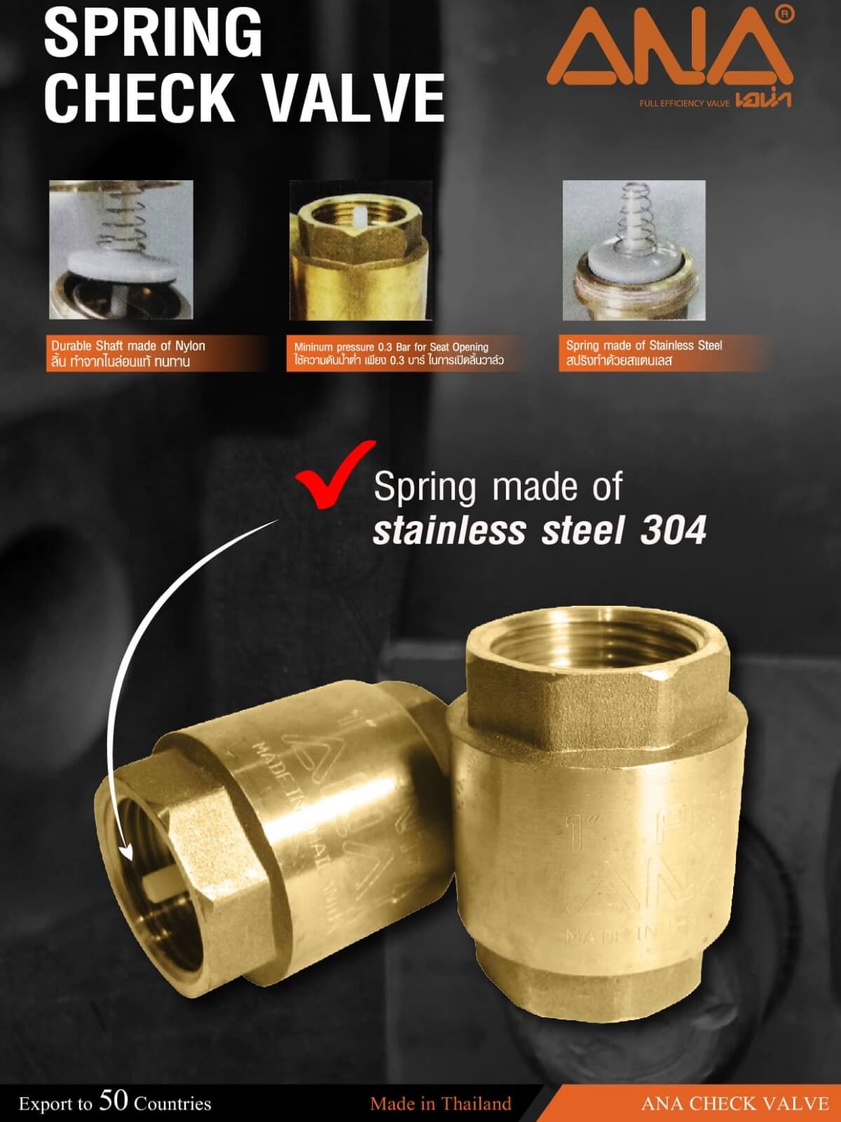 Spring Check Valve 3/4″ – Aquaplex FZE